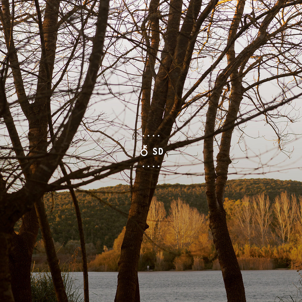 Chiron Stations Direct | Magic of I.