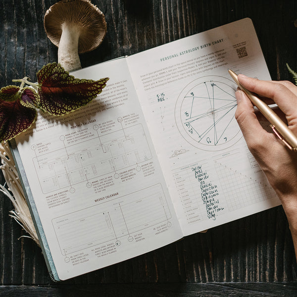 Guide: How to Use the Astrological Planner | Magic of I.
