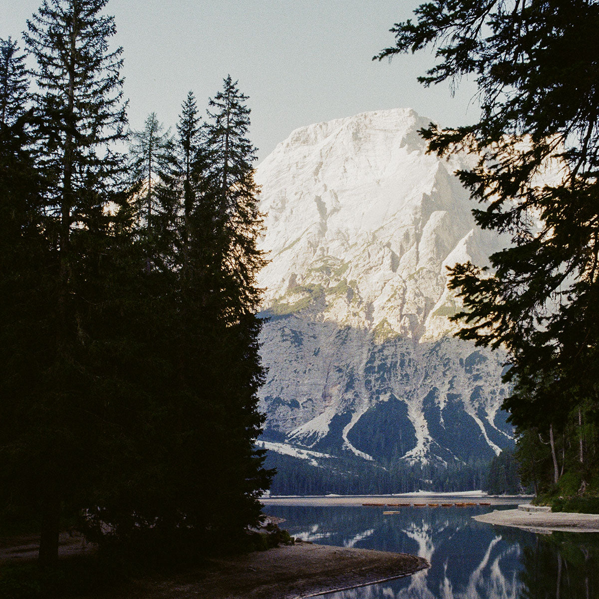 Mountain Forest Tumblr